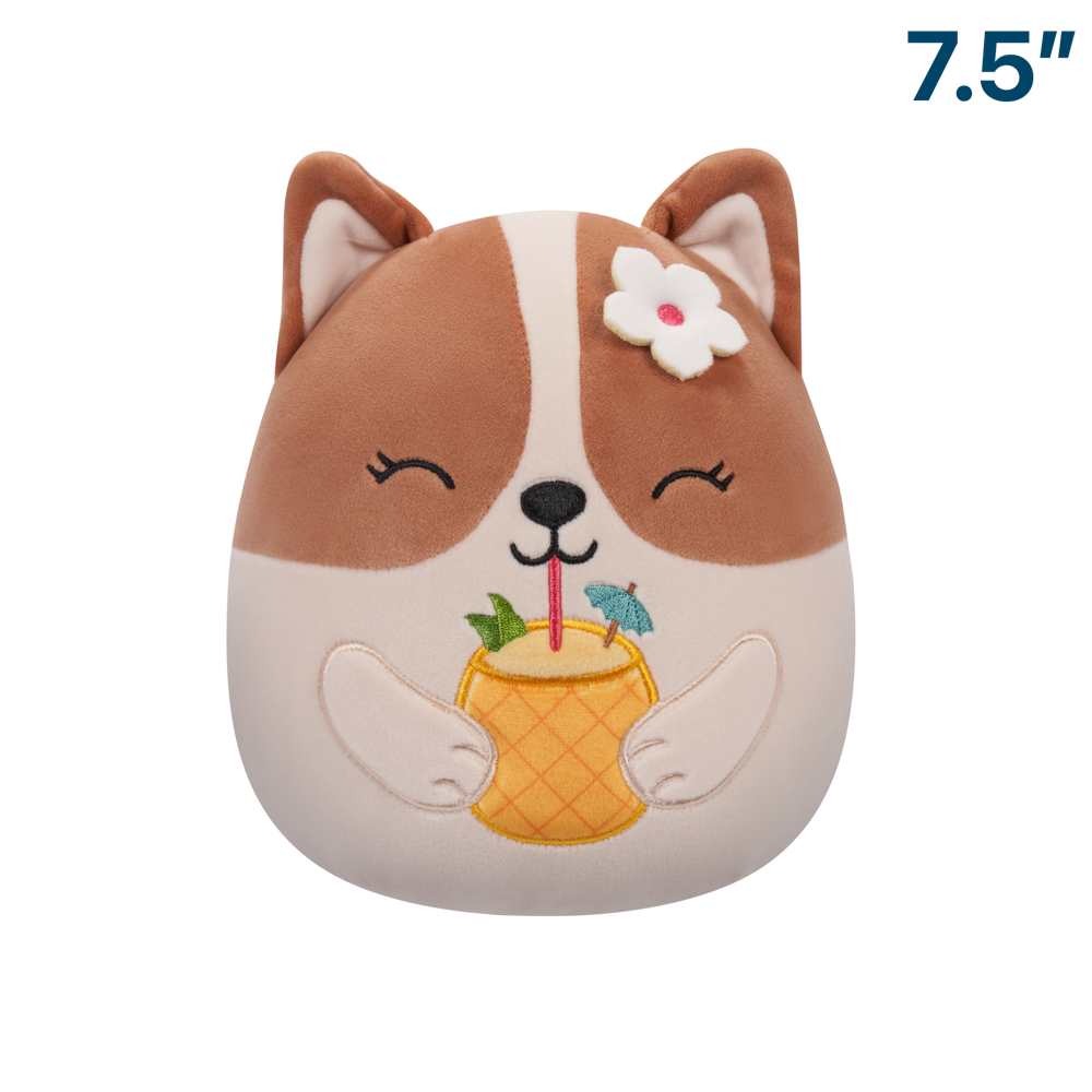 Regina the Corgi with Drink ~ 7.5" Squishmallow Plush – Brickheads ...