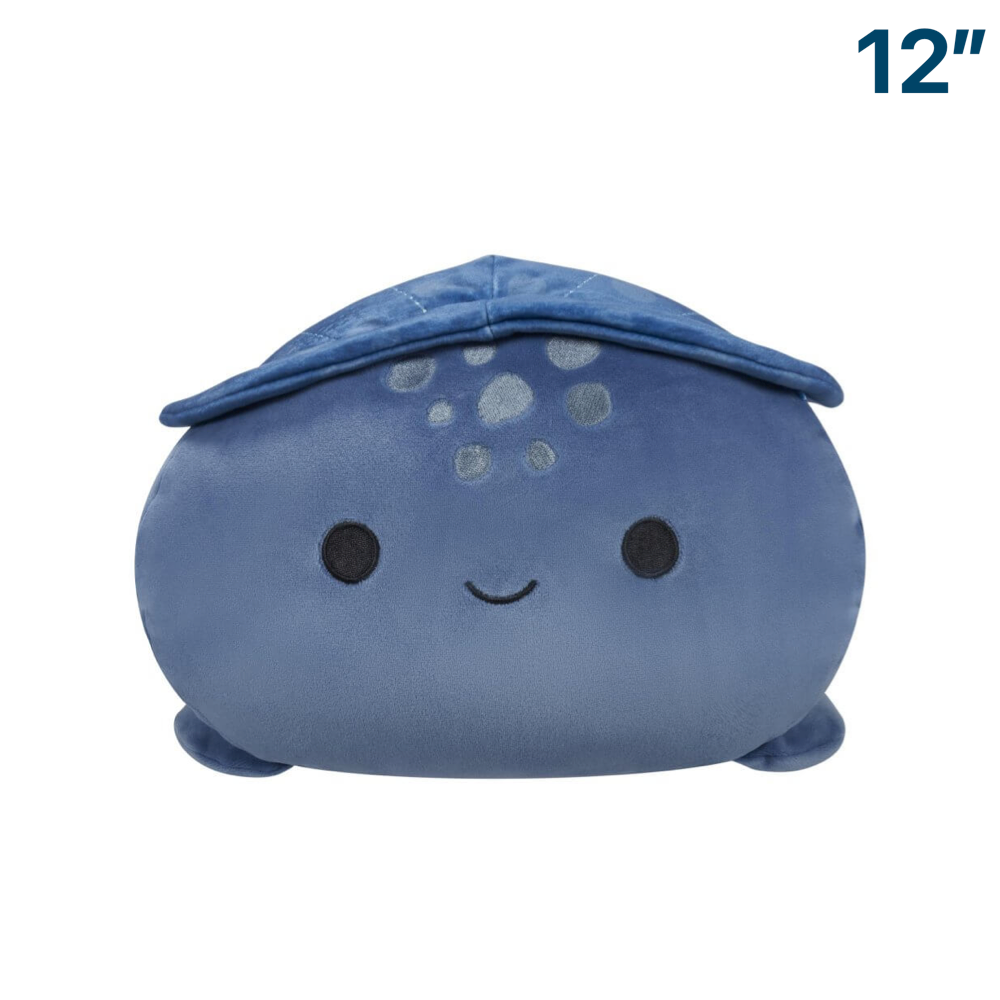 Blue Sea Turtle ~ 12" Stackable Squishmallow Plush ~ In Stock ...